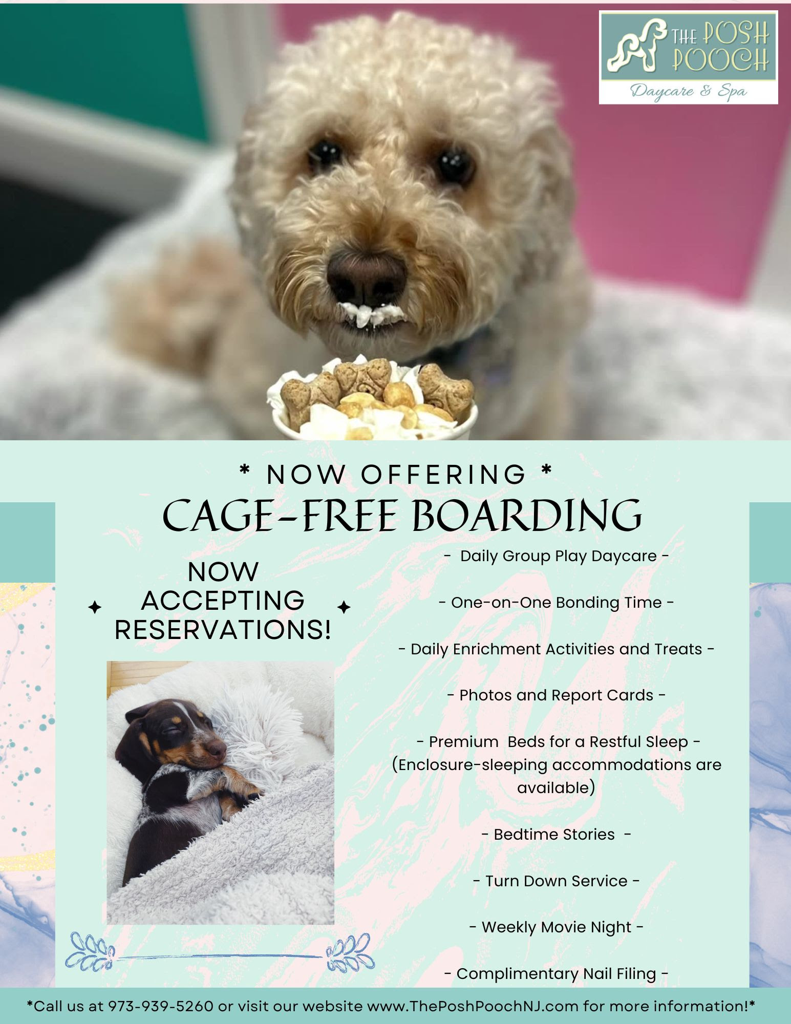 Cage Free Boarding – The Posh Pooch