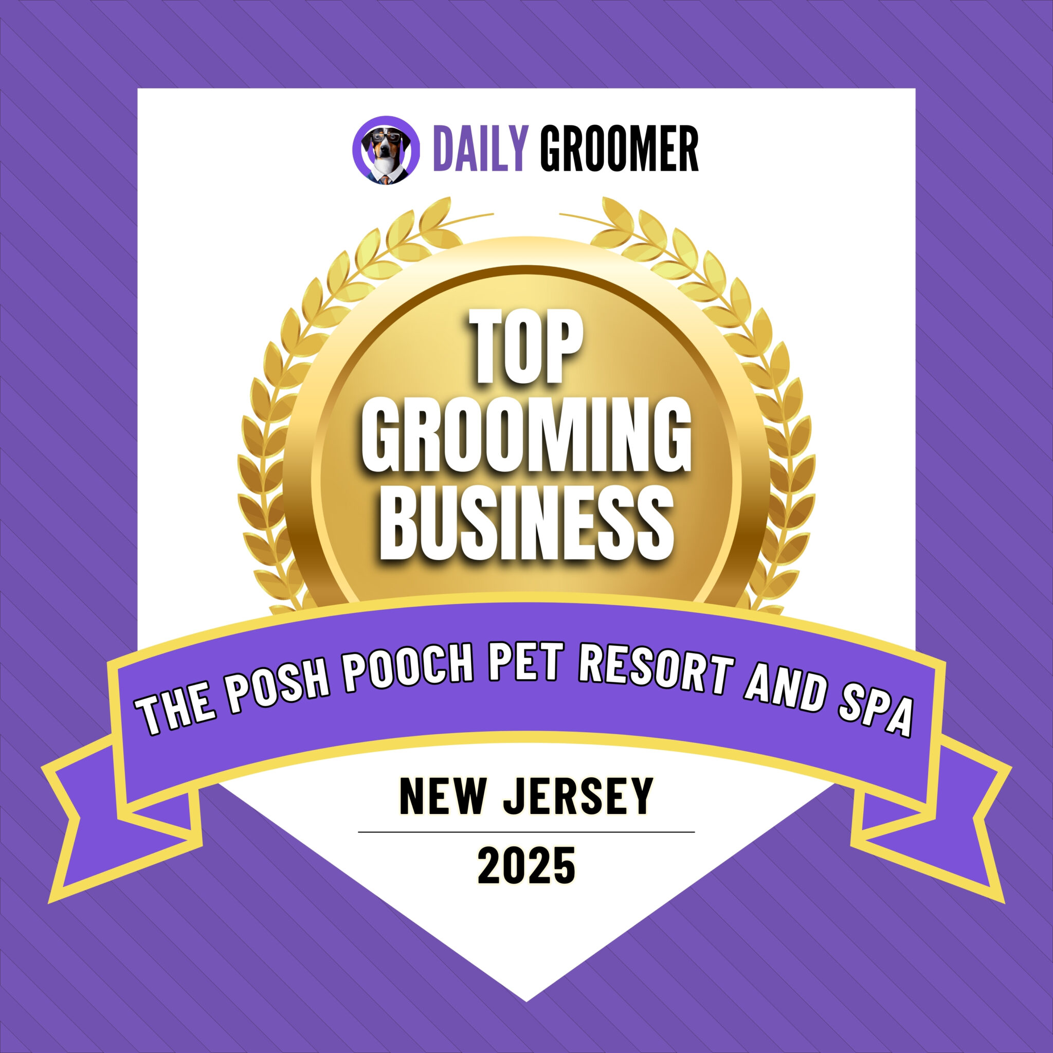 The Posh Pooch – Daycare & Spa